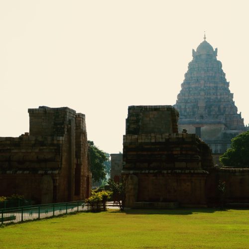 Throughlocals - One-stop shop for travel experiences in Tamilnadu